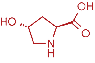 hydroxyproline sources